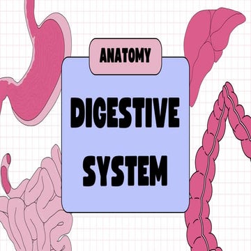 Digestive System Biology Presentation in a Bold Pink Blue Style.pdf