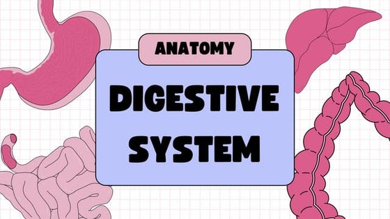 Digestive system Lesson for Grade 6 students.pdf | Digestive Disorders ...