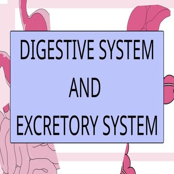 Digestive System Biology Presentation in a Bold Pink Blue Style.pptx