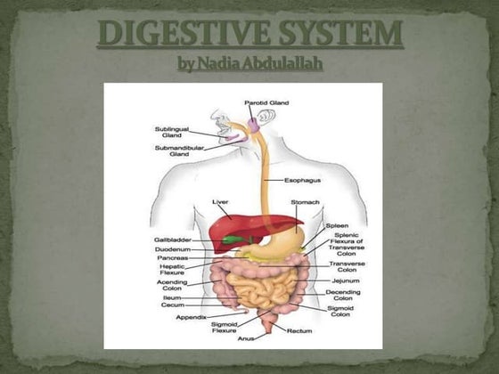 Cholelithiasis (Gall stone) | PPT