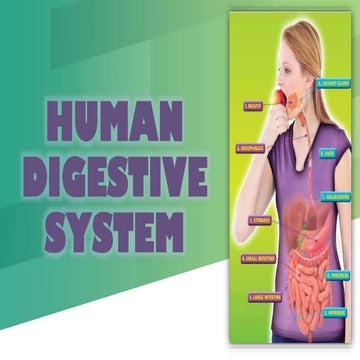 DIGESTIVE SYSTEM_CLASS 10th.pptx