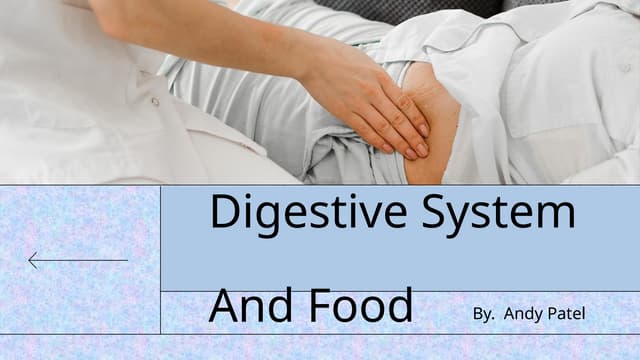 Digestive System Grade 4 igcse easy notes ppt | PPT