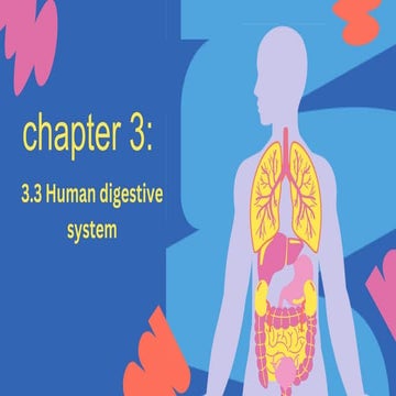 Digestive System Educational Video in Blue Yellow Illustrative Style.pptx