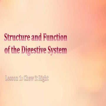Digestive System, lecture powerpoint Grade 8.pptx