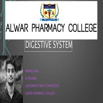 report on the digestive system | PDF