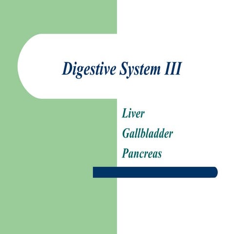 Histology. Digestive system | PPT