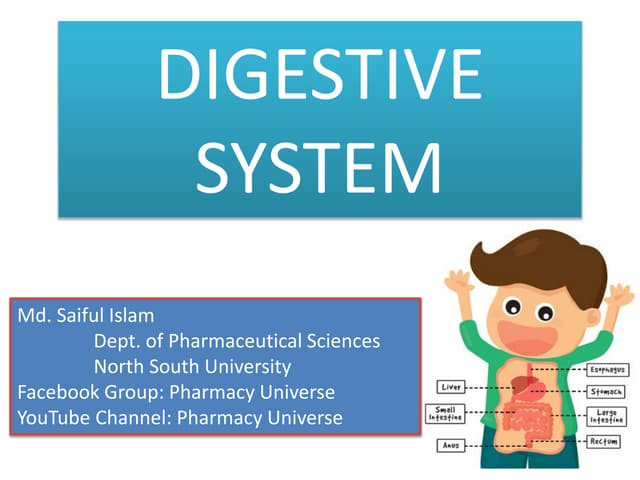 Digestive System.pdf HUMAN ANATOMY AND PHYSIOLOGY | PDF