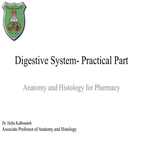 Digestive system Lab.pdf