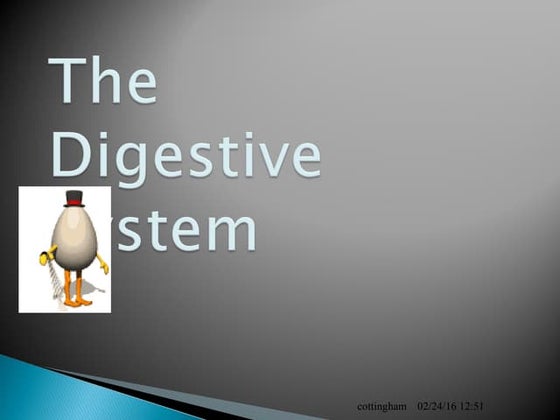 Digestive system Grade 5 igcse easy notes | PPT | Digestive Disorders ...