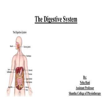 ACCESSORY ORGANS OF DIGESTIVE SYSTEM | PPTX