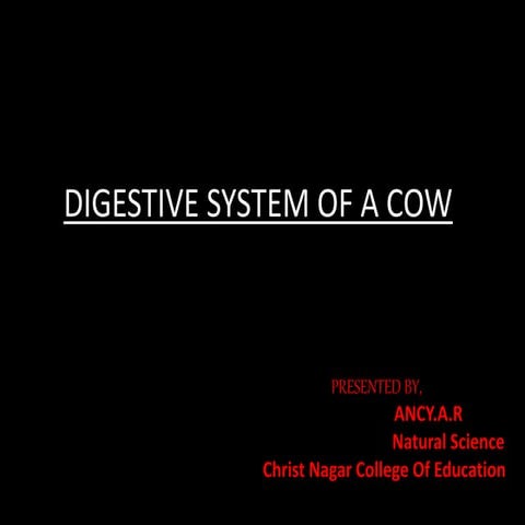 Digestive system of a cow | PPTX