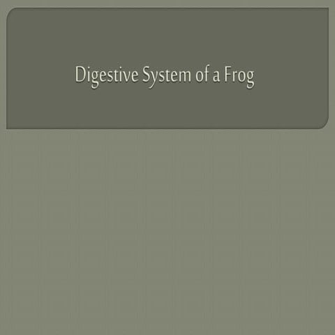 Nervous system of the frog (1) | PPTX