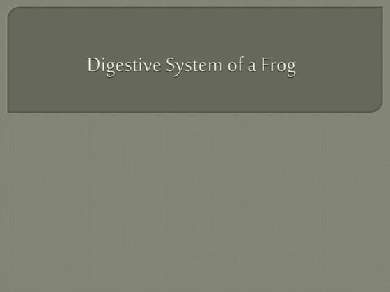 Frogdiss | PDF