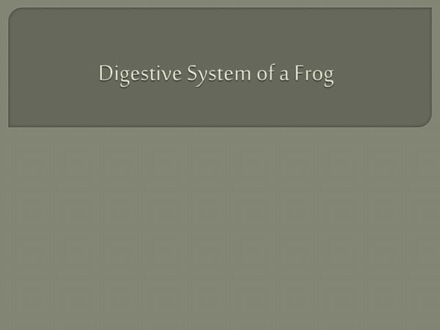 frog-170829165233.pdf rana tigrina explanation | PDF