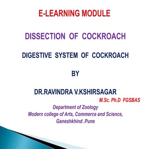 Diagram of alimentary and digestive glands in cockroach | PPTX