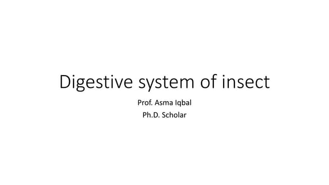 Chapter 4 INTERNAL STRUCTURE AND FUNCTION OF INSECT’S BODY (INSECT ...