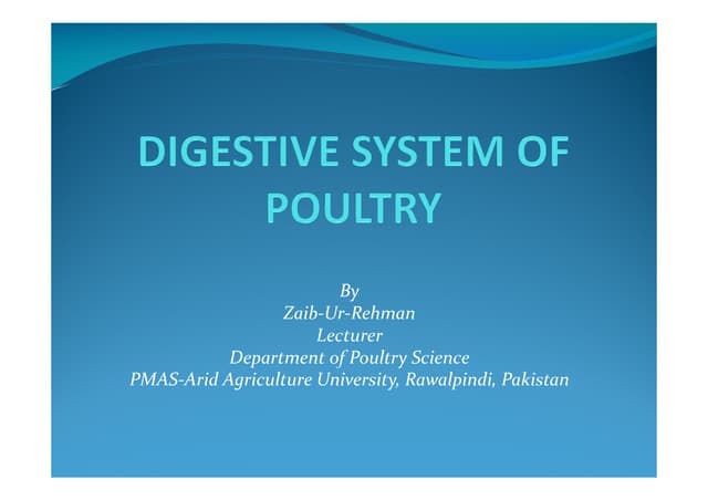 Duck Digestive System | PPTX