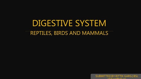 Comparative Anatomy of Digestive System of Vertebrates | PPT