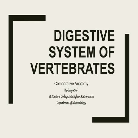 Digestive system of vertebrates | PPTX