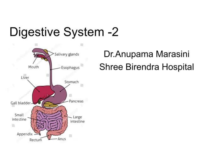 ACCESSORY ORGANS OF DIGESTIVE SYSTEM | PPTX
