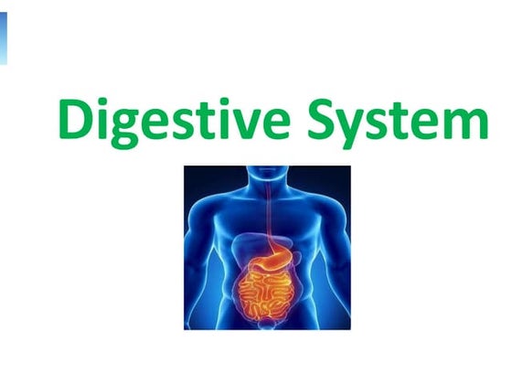 Module-1.-DIGESTIVE-SYSTEM-includes the diseases of the digestive ...