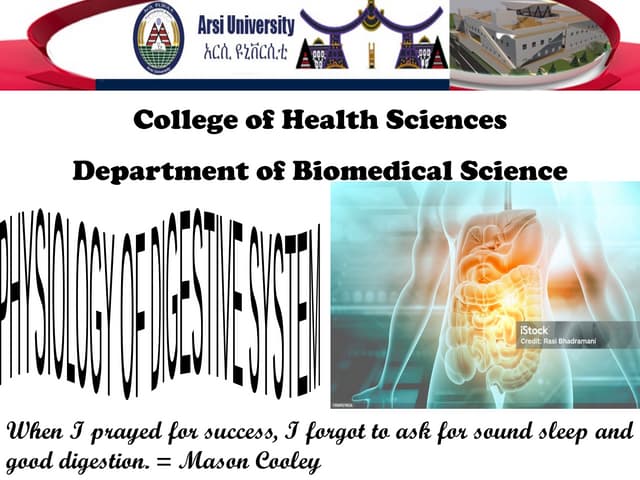 nerve supply of GIT | PDF