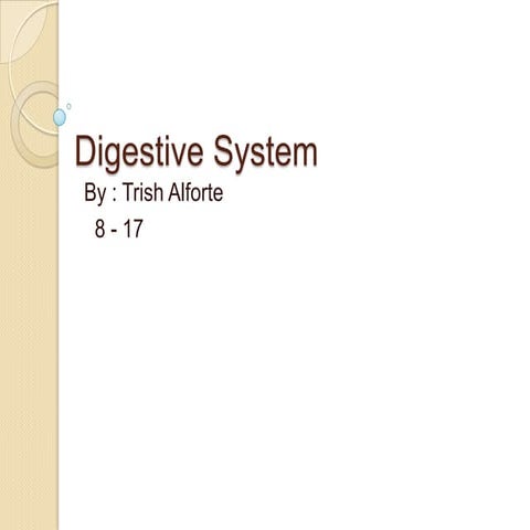 Digestive System power point | PPT