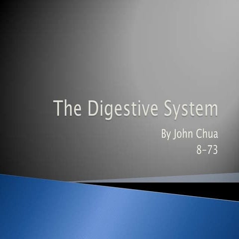 Digestive system powerpoint | PPTX