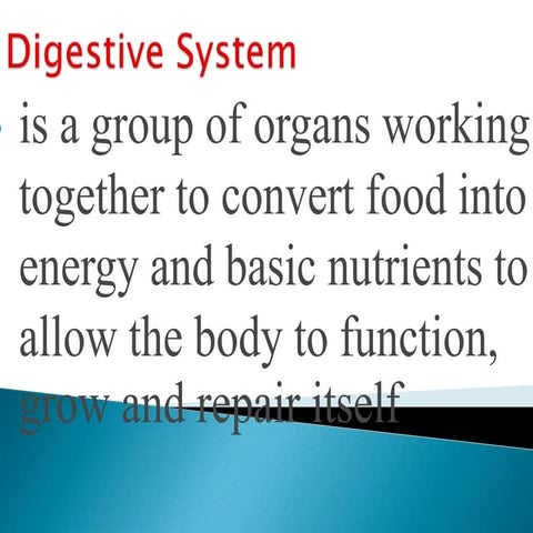 Digestive system powerpoint.pptx