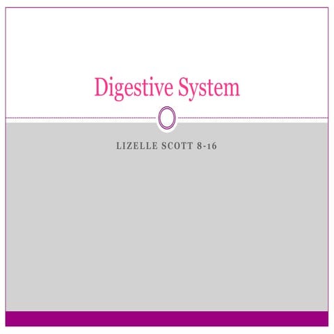 Digestive system powerpoint, january 7 2011. | PPTX
