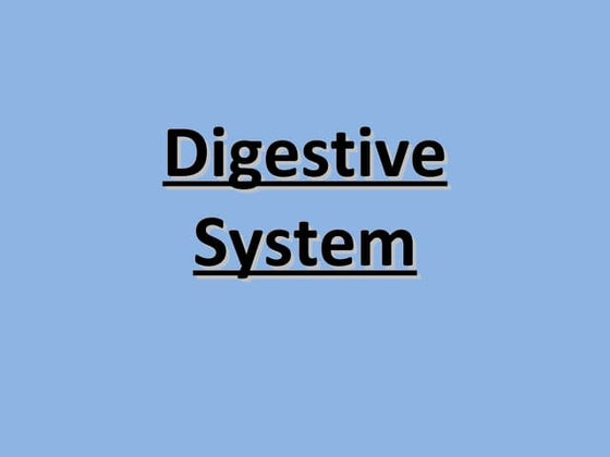 Digestive System PPT (1).ppt