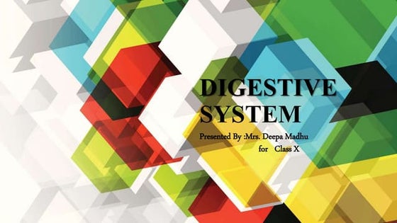 Digestive system Grade 5 igcse easy notes | PPT | Digestive Disorders ...