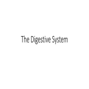 the digestive system overview and introduction | PPTX | Nutrition ...