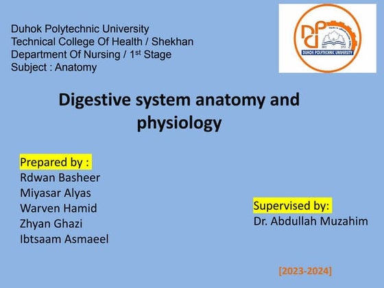 Digestive system Grade 5 igcse easy notes | PPT