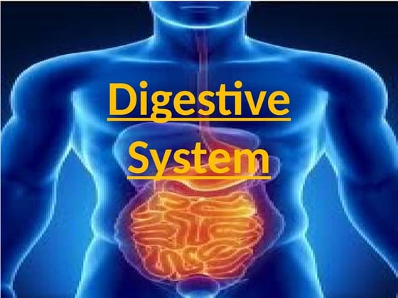 two types of digestion | PPTX | Digestive Disorders | Diseases and ...
