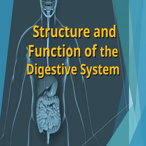 Digestive System PPT.ppt.................. | PPT