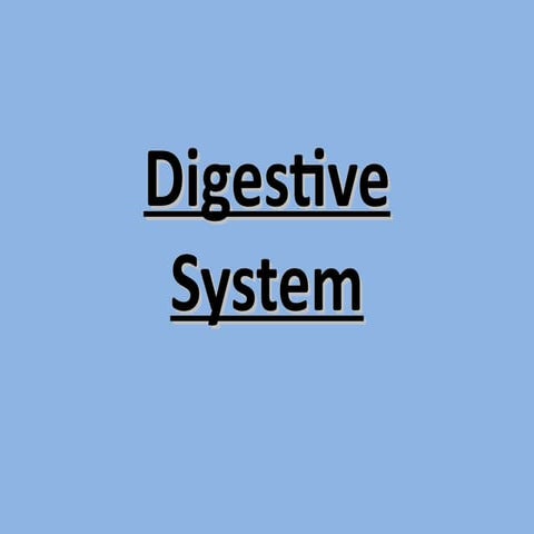 Digestive System process PPT.ppt in human body | PPT