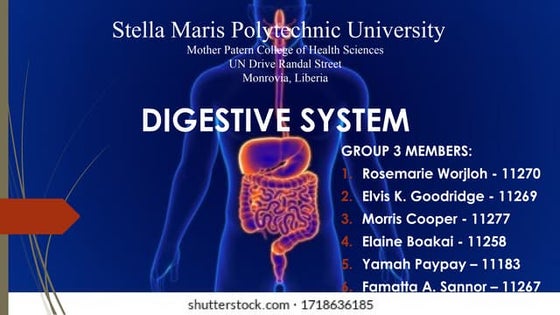 MICROINJECTION GENE TRANSFER METHOD | PPT