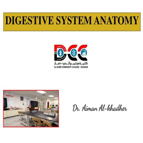 DIGESTIVE SYSTEM (practical Gastrointestinal) .pdf