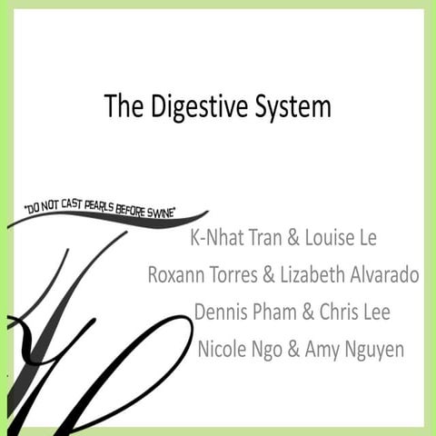 Digestive System Presentation | PPTX