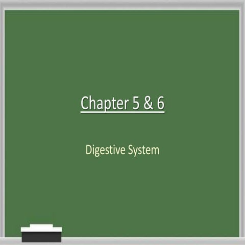 Digestive System medical Terminology | PPTX