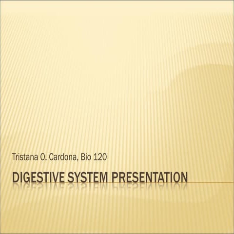 Digestive system presentation | PPT