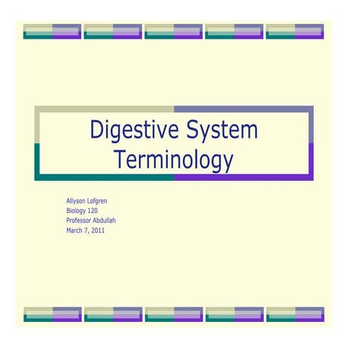 Digestive system presentation8 | PPT