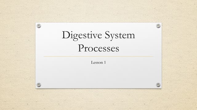 semi - detailed lesson plan (Digestive System 8).docx