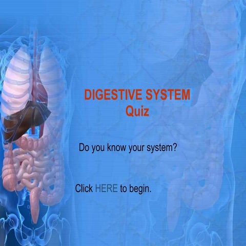 Digestive System Quiz | PPT