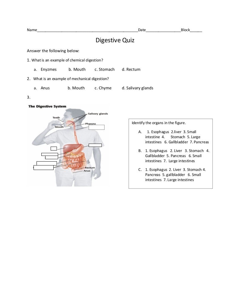digestive-system-quiz