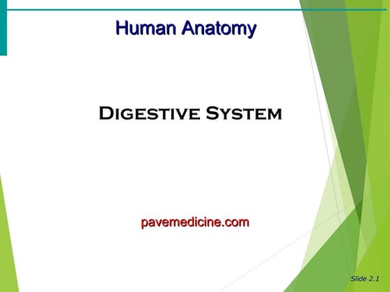 Anatomy presentation | PPTX