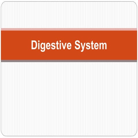The presentation on the Digestive system simplified.pptx