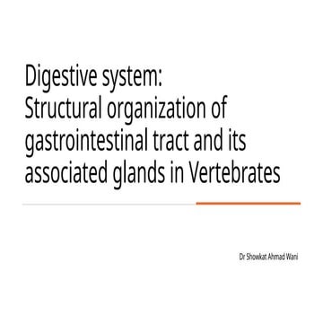 Digestive system structural organization of gastrointestinal tract and ...