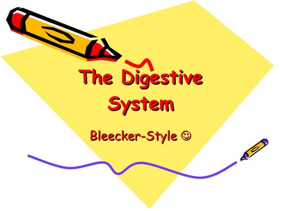 Digestive System Grade 4 igcse easy notes ppt | PPT | Nutrition ...